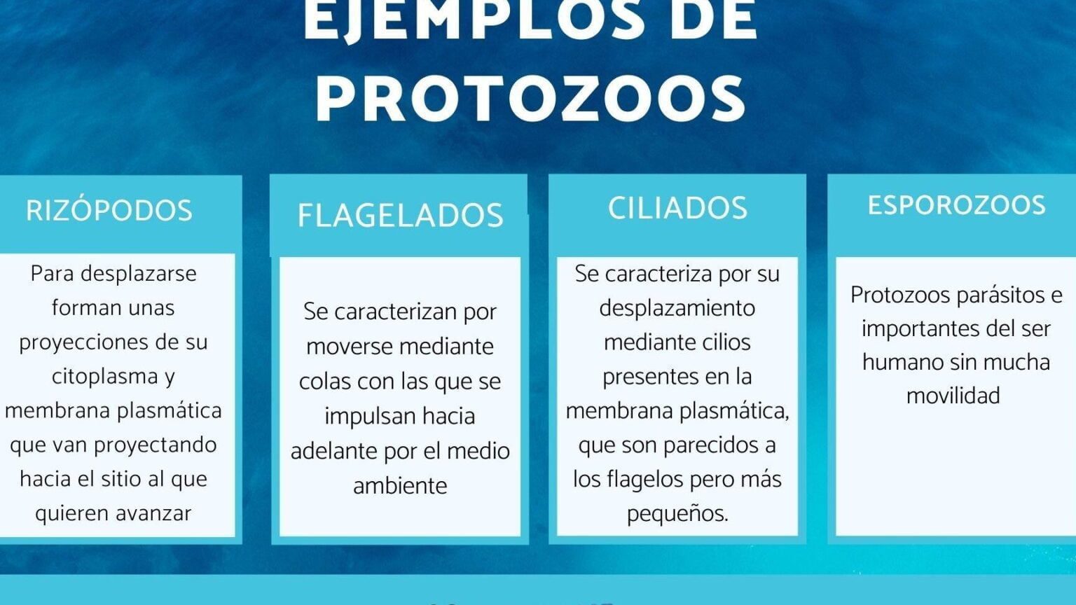 Ejemplos de Objetos Suaves: Comodidad y Estilo en tu Hogar