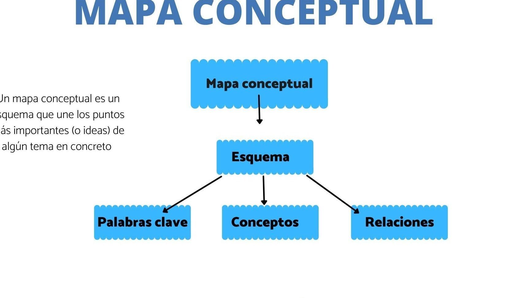 Mapa Conceptual De La Clula Vegetal Y Sus Beneficios Infoupdate Mapa Conceptual De La Clula Vegetal Y Sus Beneficios Infoupdate