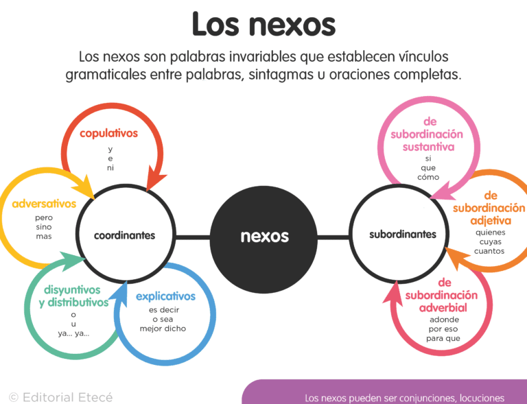 Ejemplos de Fondo y Forma en un Texto: Características Clave