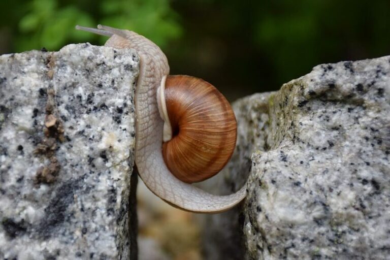 Ejemplos de Objetos Suaves: Comodidad y Estilo en tu Hogar