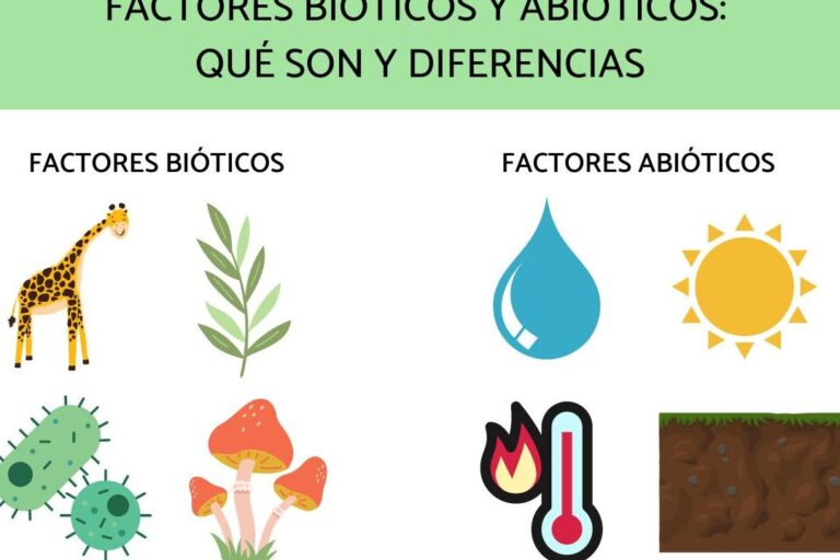 Ejemplos de Microecosistemas: Descubre la vida en miniatura