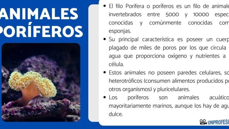Ejemplos de Material Gaseoso: Aire, Vapor de Agua, Dióxido de Carbono ...