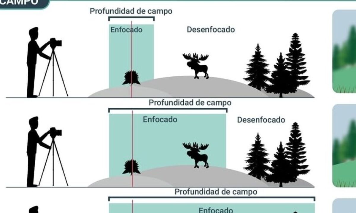 Ejemplos De Fotografia De Profundidad De Campo