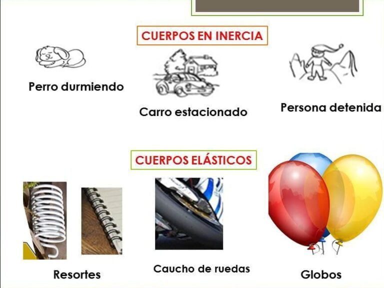 Ejemplos de Objetos Suaves: Comodidad y Estilo en tu Hogar