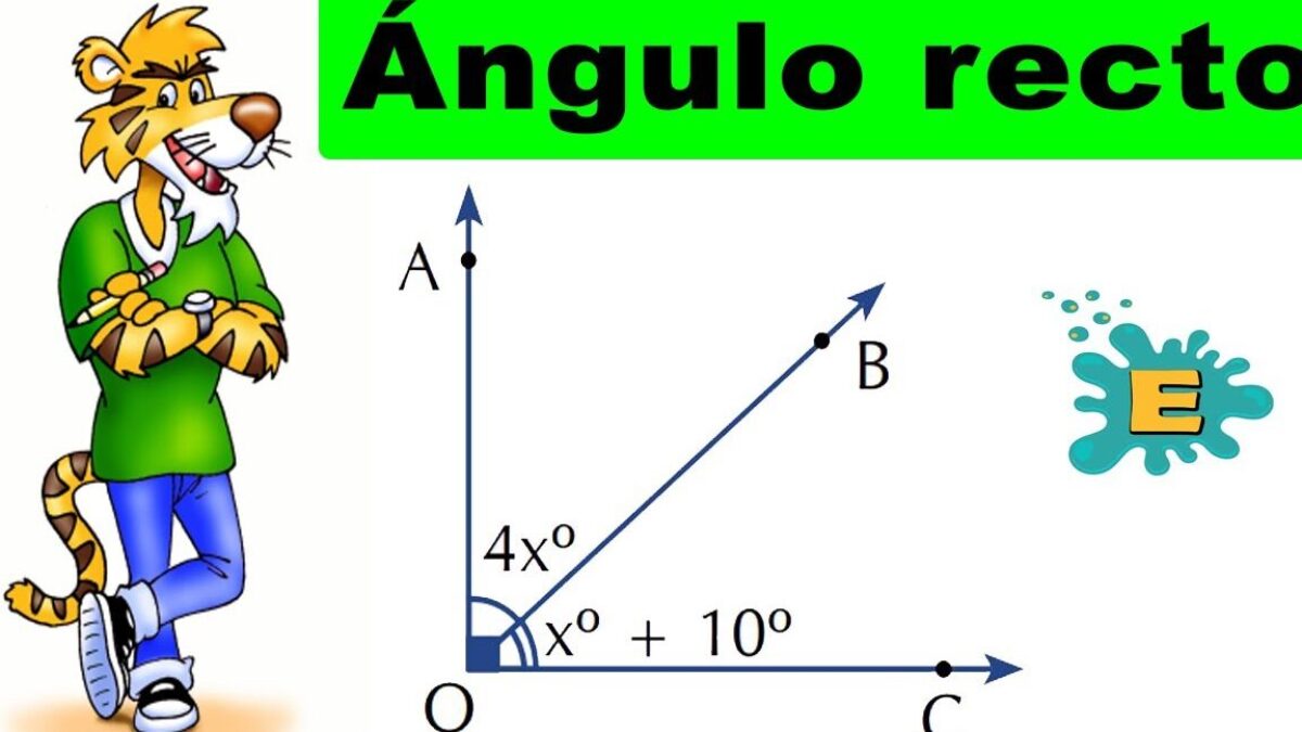 ángulo Recto En La Vida Cotidiana