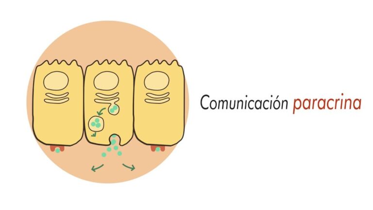 Ejemplos del Modelo de Comunicación de Shannon y Weaver