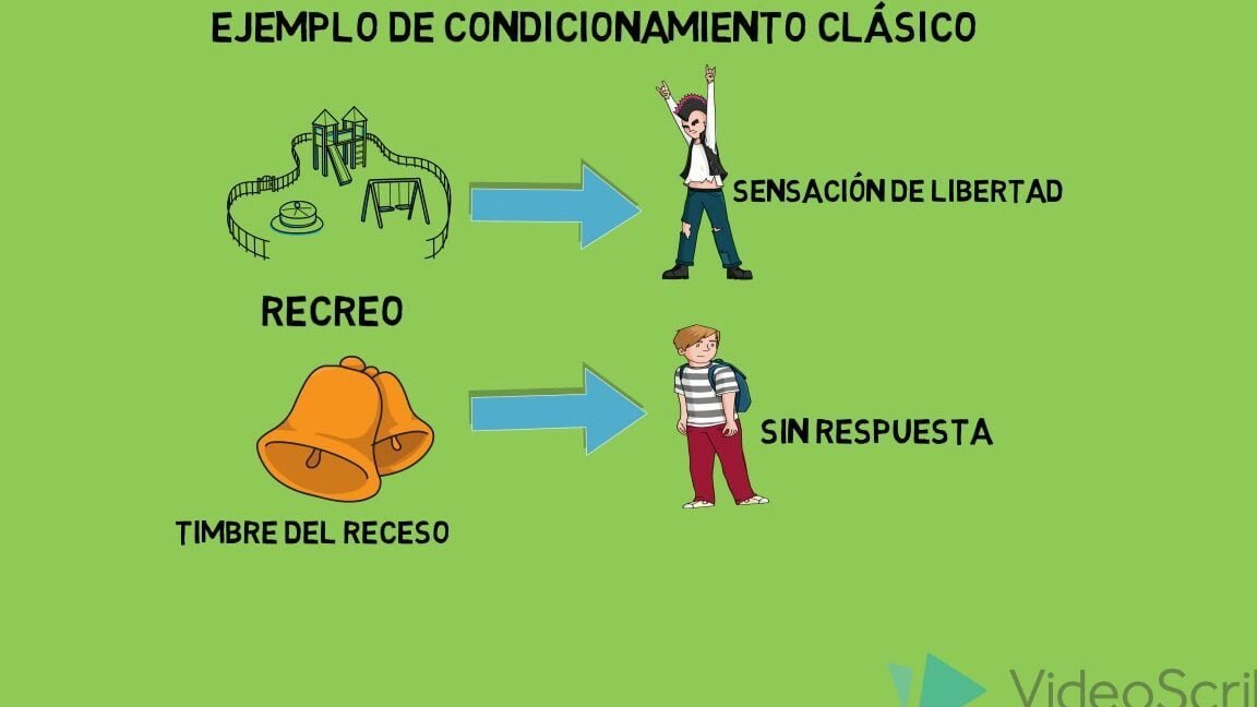 Ejemplos de Condicionamiento Respondiente: Aprendizaje por Asociación