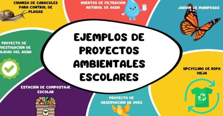 Ejemplos de Proyectos Ecológicos Sostenibles para Inspirarte