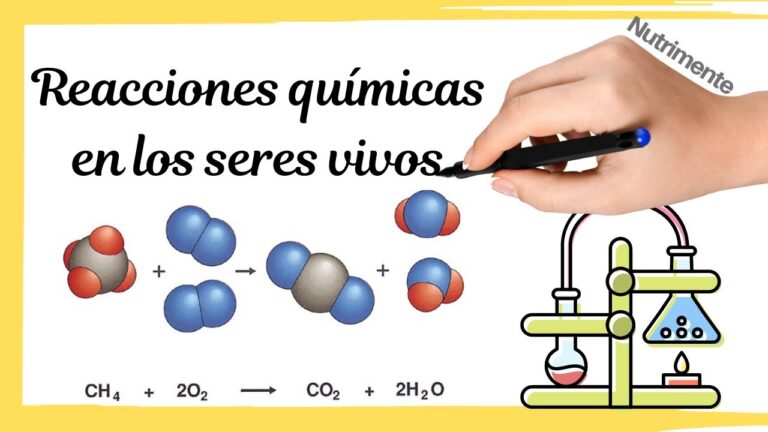 Ejemplos Prácticos de Balanceo Por Óxido-Reducción en Química