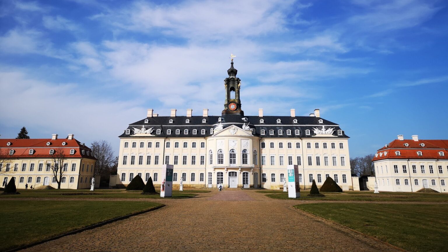 Ejemplos De Textura Rugosa En La Naturaleza Y En El Arte