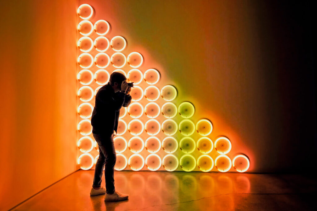 Ejemplos De Textura Rugosa En La Naturaleza Y En El Arte